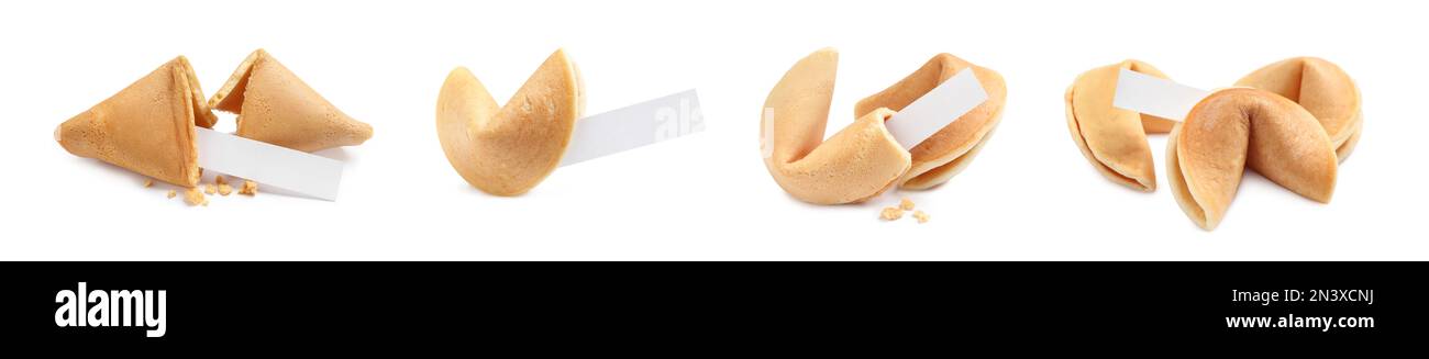 Set of fortune cookies on white background. Banner design Stock Photo ...