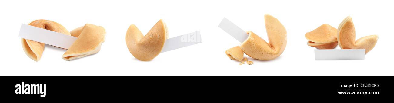 Set of fortune cookies on white background. Banner design Stock Photo ...