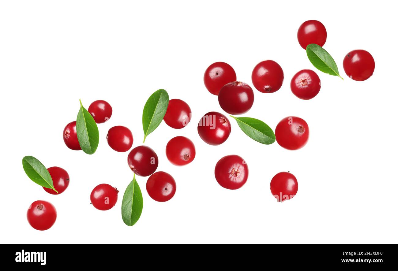Fresh red cranberries falling on white background Stock Photo - Alamy
