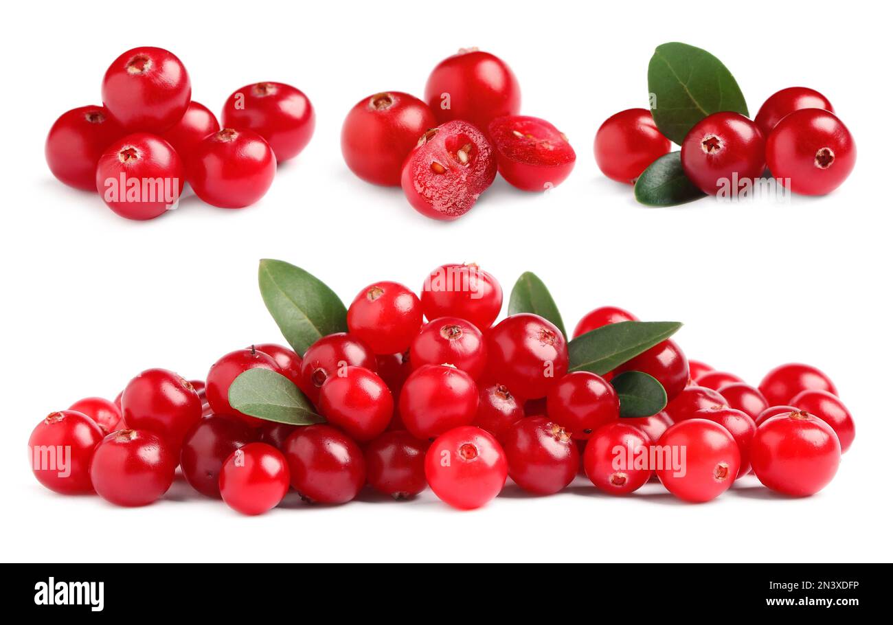 Set of fresh ripe cranberries on white background Stock Photo - Alamy