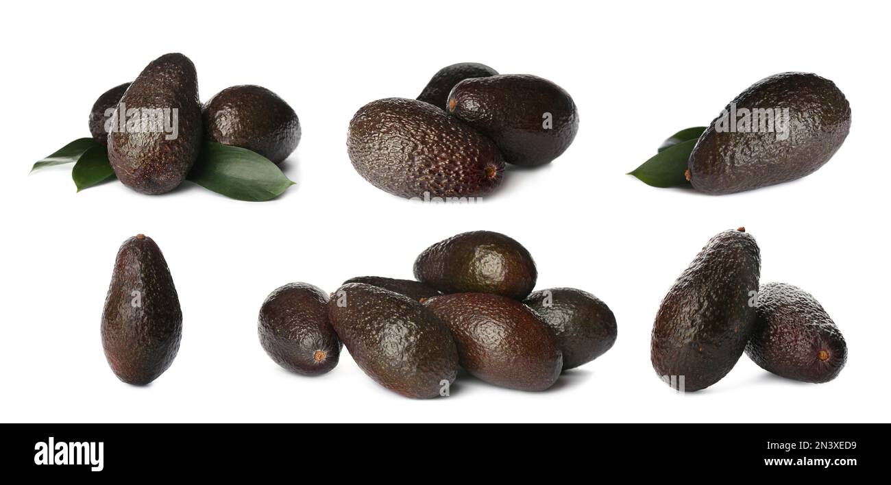 Set of ripe avocados on white background. Banner design Stock Photo - Alamy