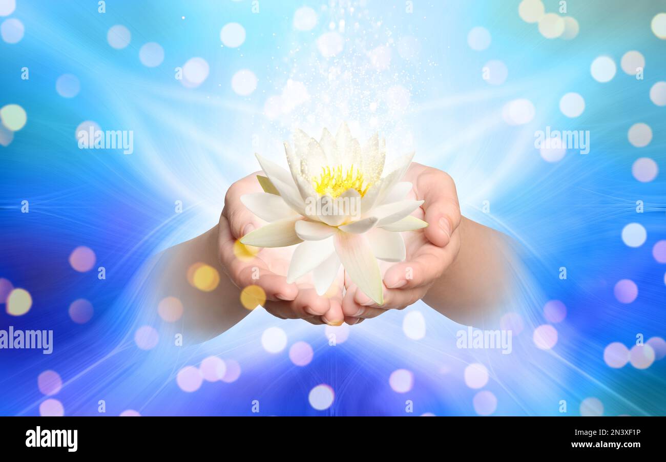 Hands holding lotus flower hi-res stock photography and images - Alamy