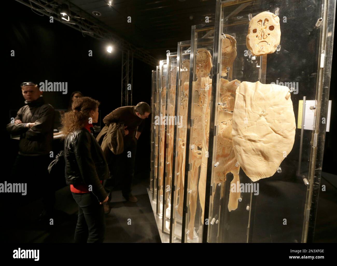 People view a display during a visit to "Our body. The universe within ...