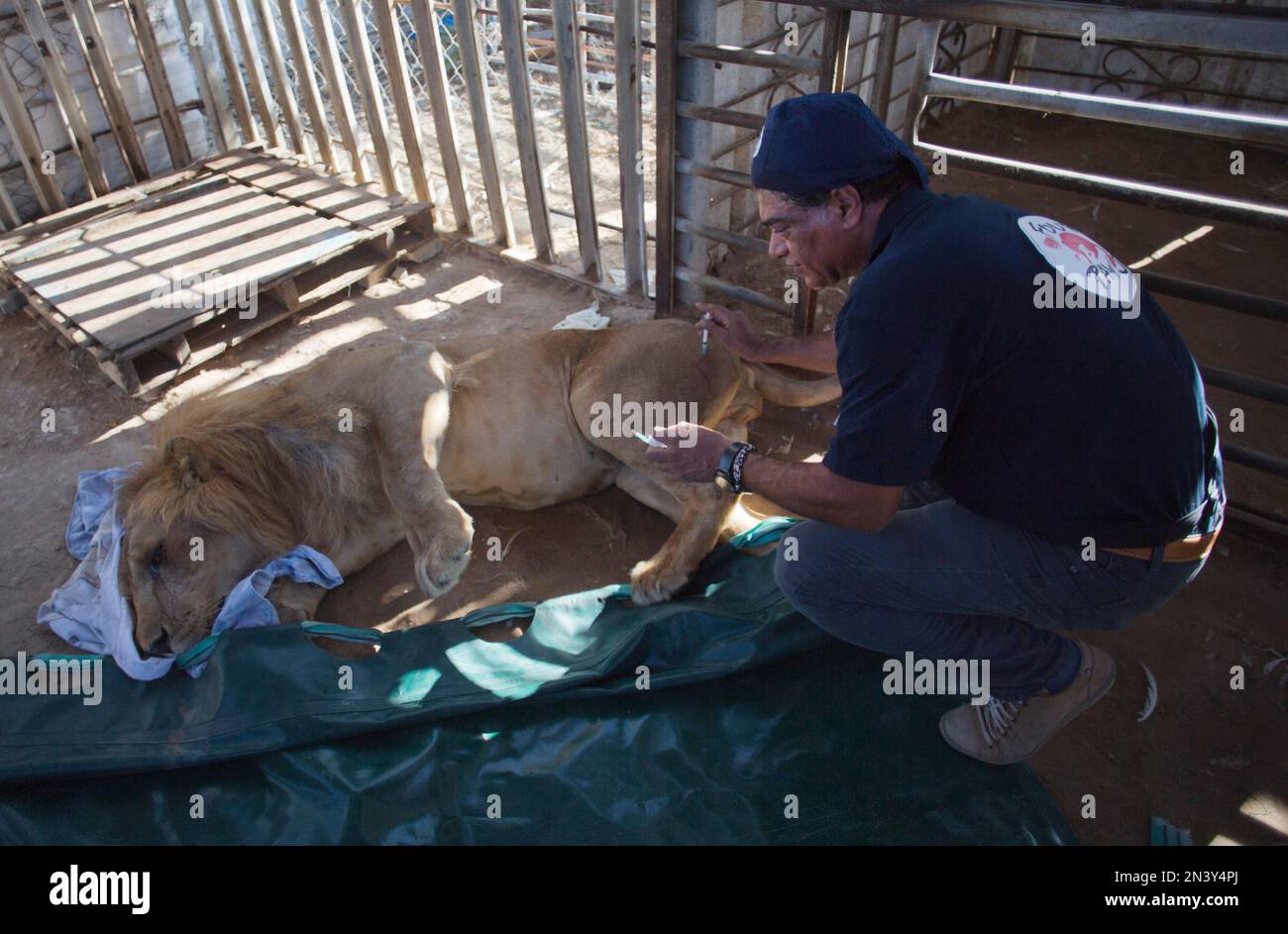 Dr. Amir Khalil, Director of Project Development, Four Paws ...