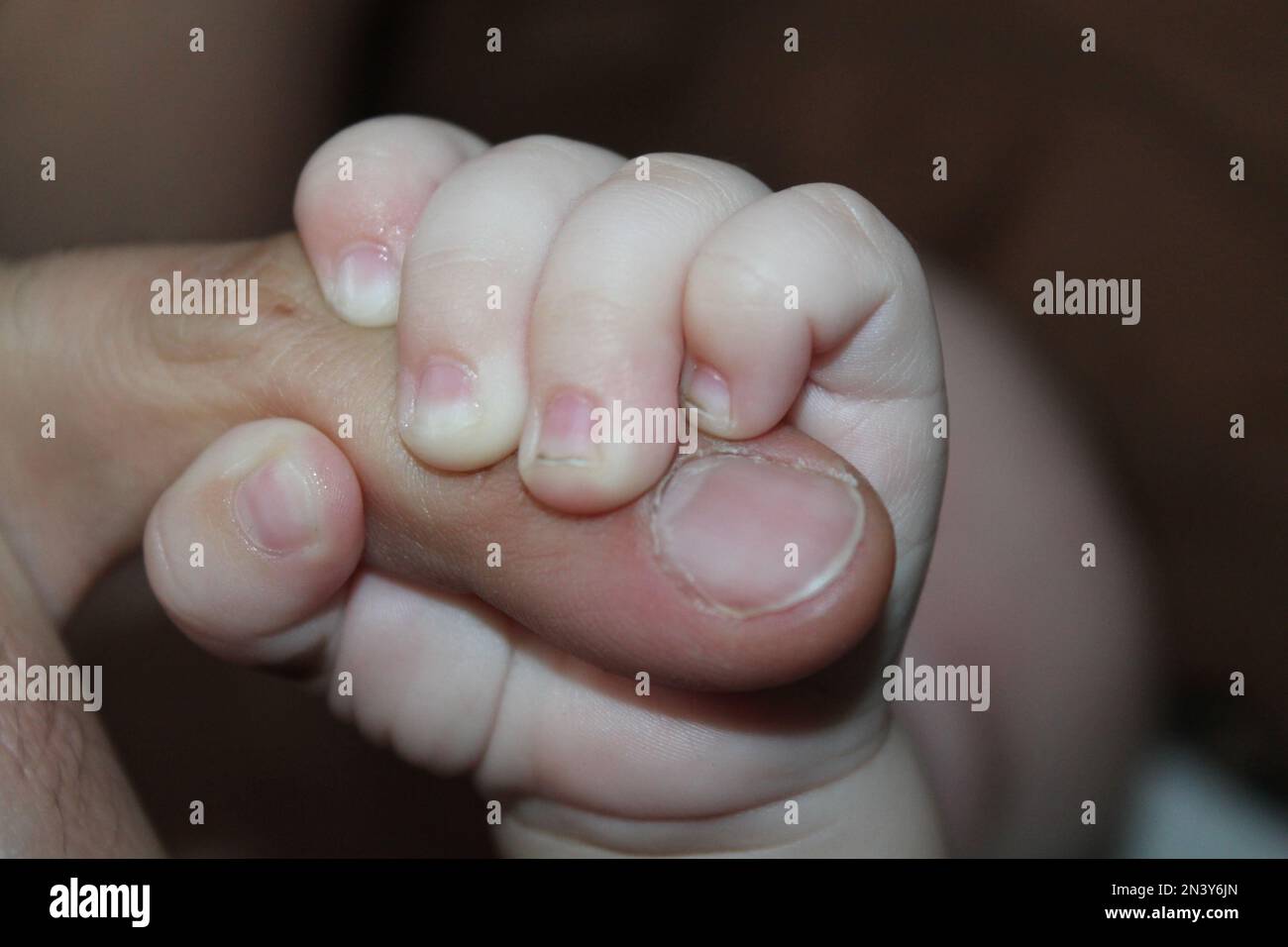little newborn baby hand squeezing daddy's finger Stock Photo - Alamy