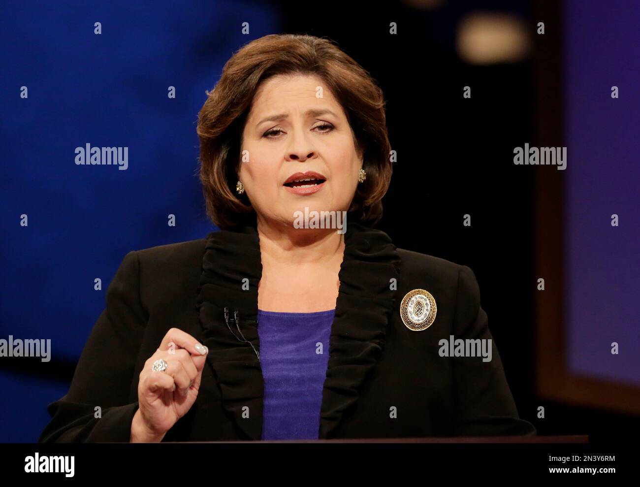 Texas Lieutenant Governor Hopeful State Sen Leticia Van De Putte D