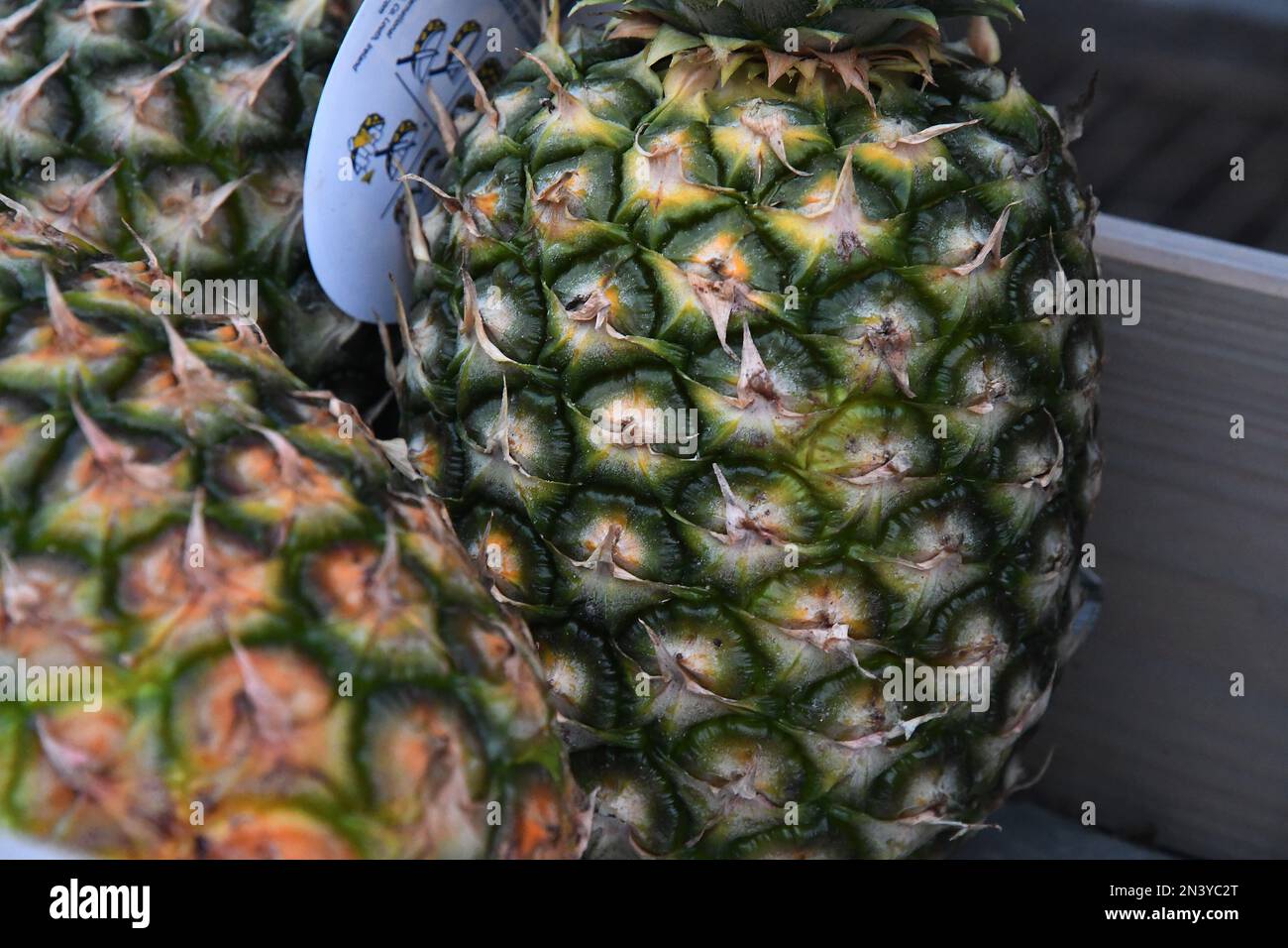 Fyffes gold hi-res stock photography and images - Alamy