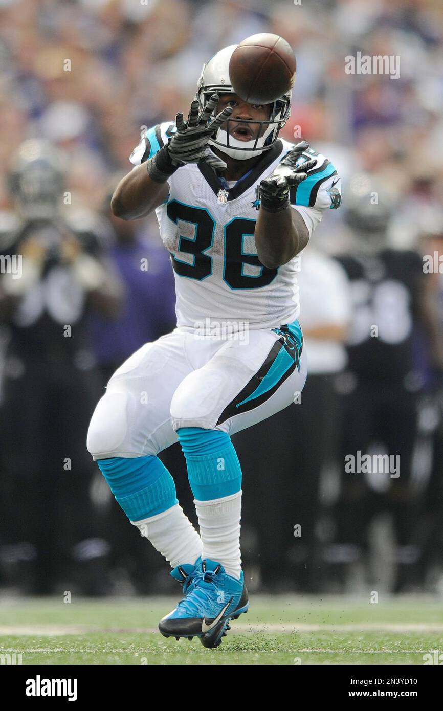 Carolina Panthers running back Darrin Reaves (36) pulls in a pass ...