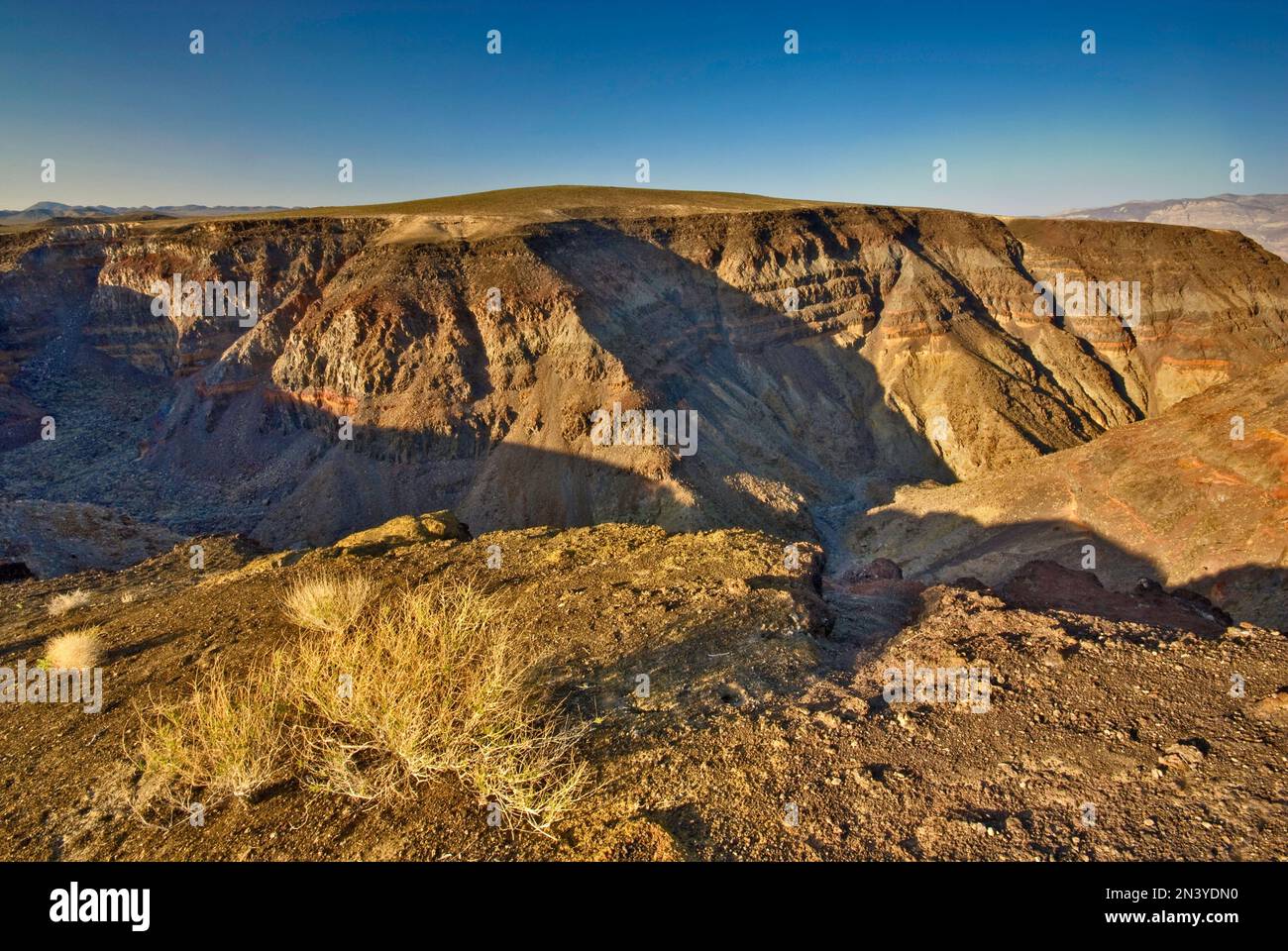 Globemallow growing on edge of Rainbow Canyon above Panamint Valley ...