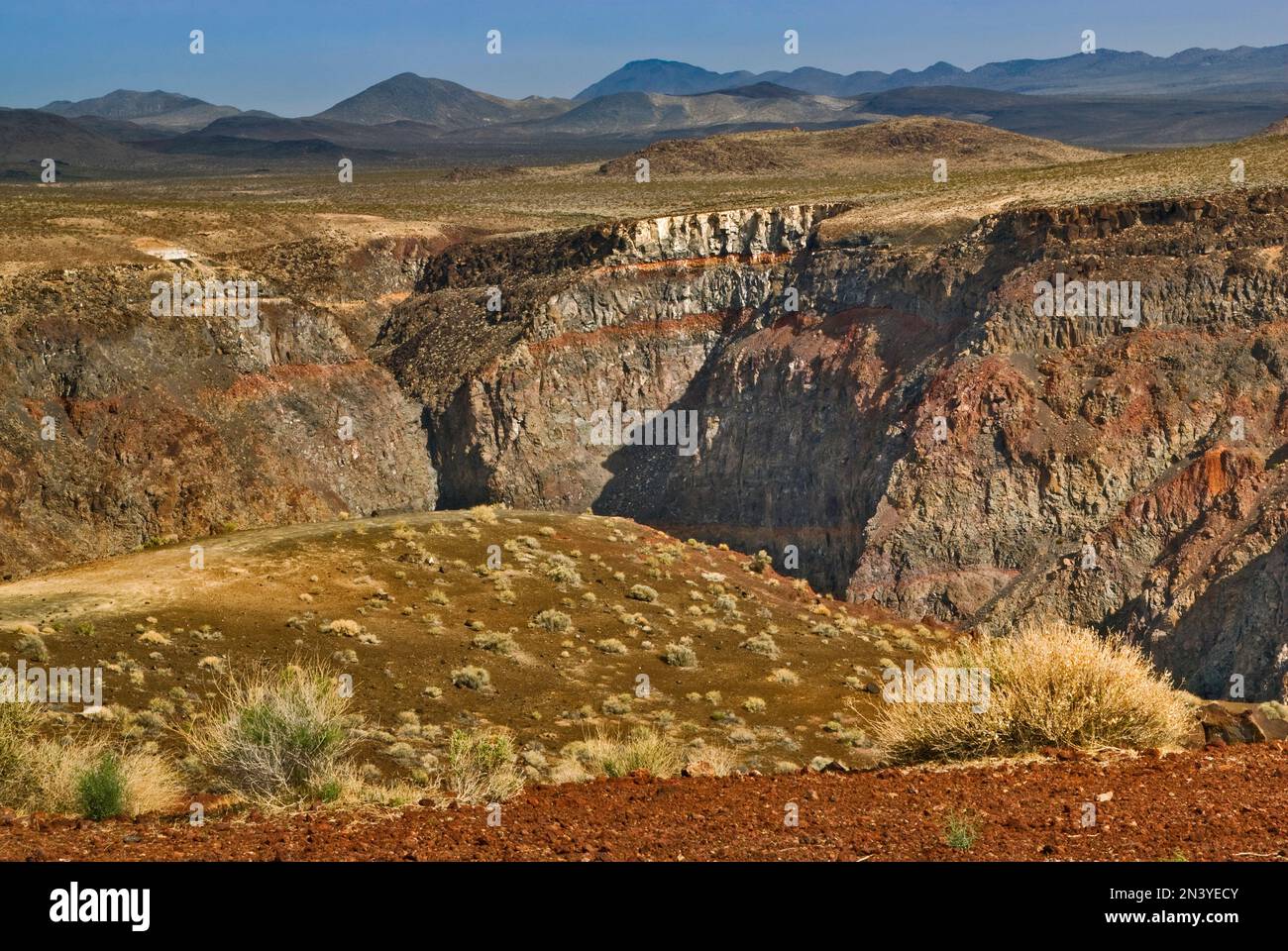Globemallows growing on volcanic rocks over Rainbow Canyon at Panamint ...