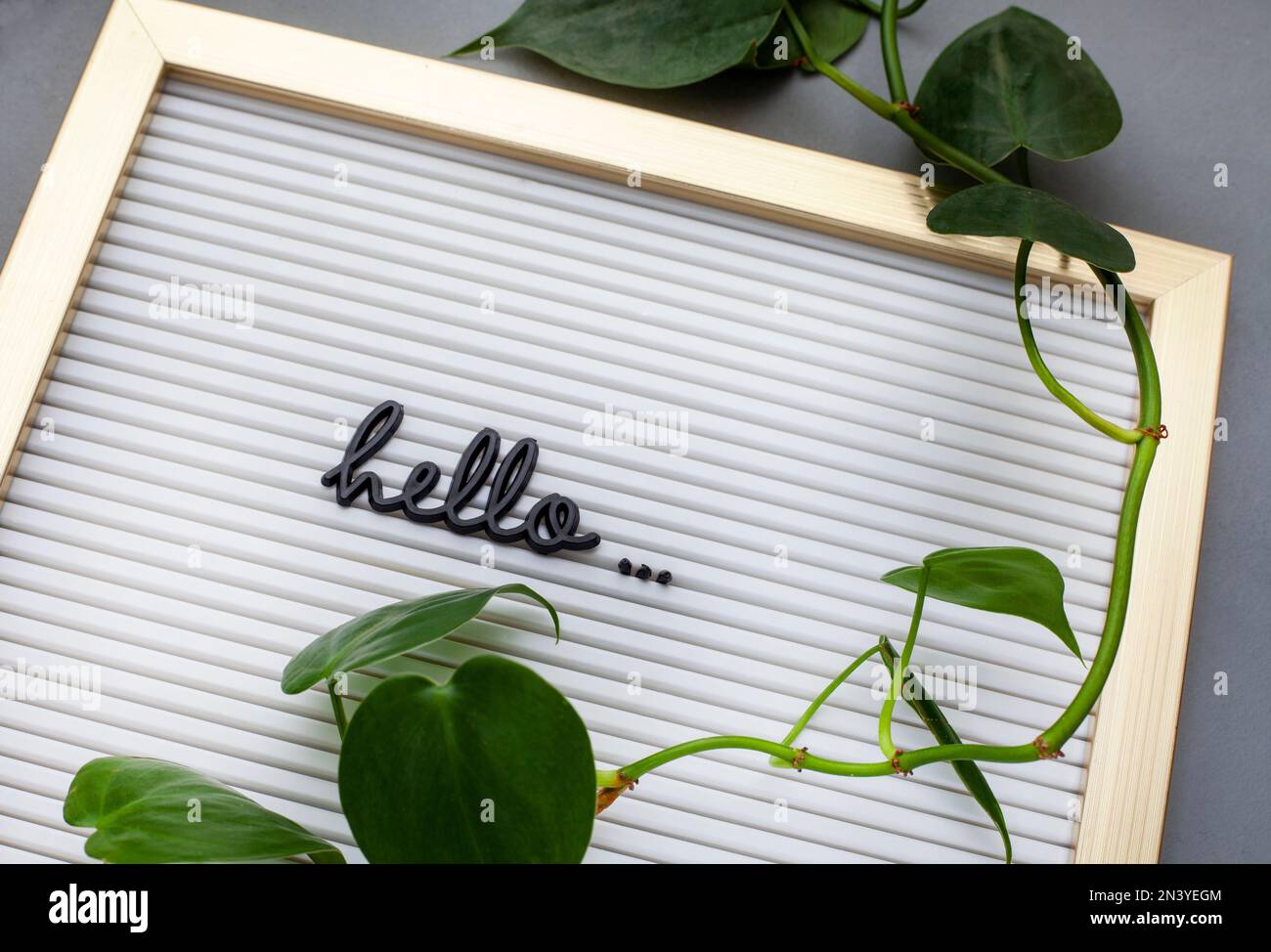 letter board with Hello written in cursive with golden frame and ...