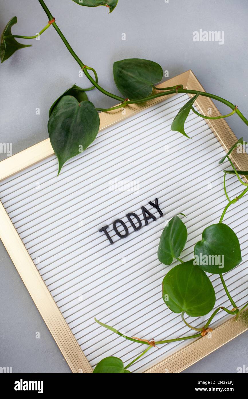 Today, the word written on a letter board with golden frame on grey ...