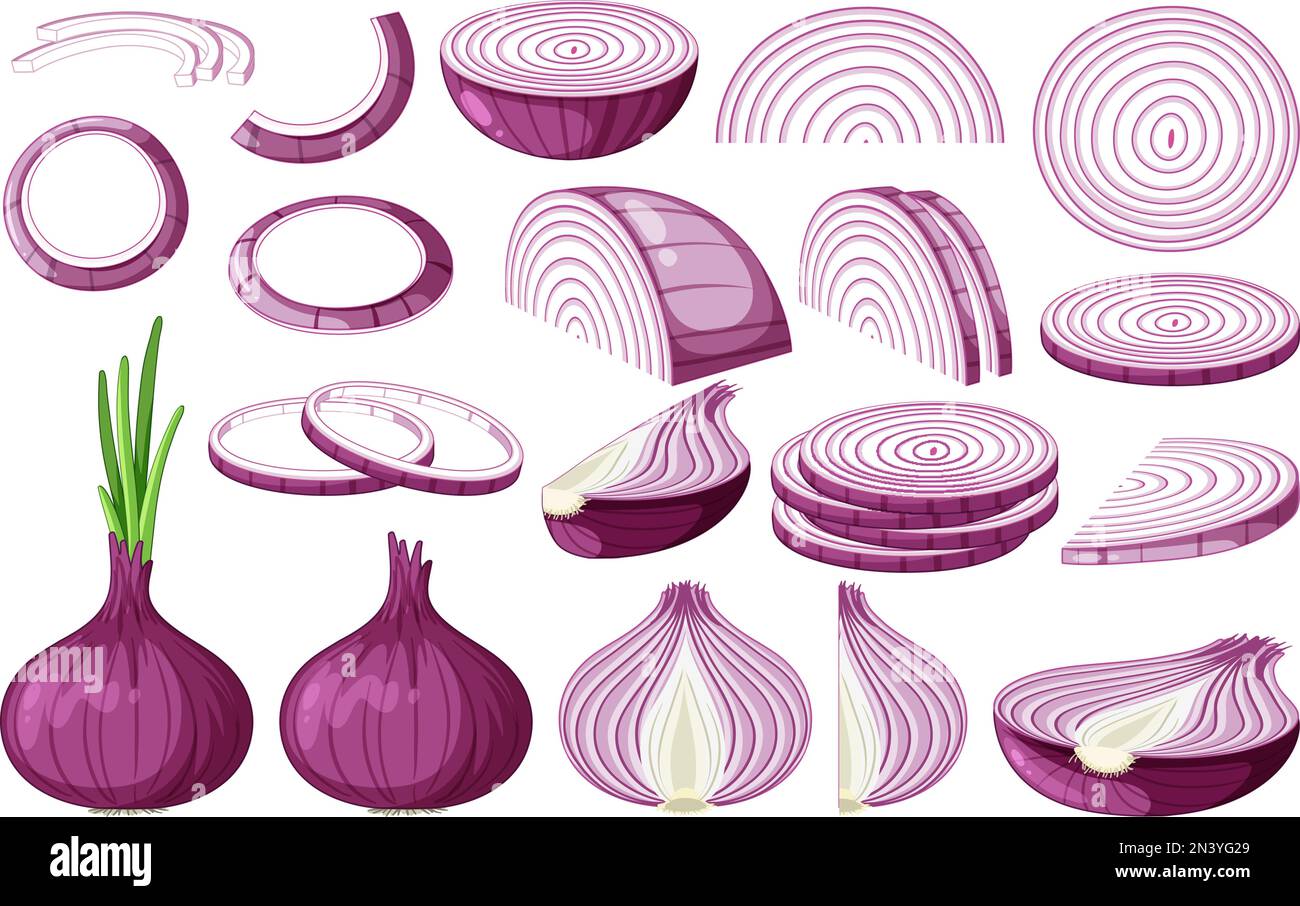 Shallot in whole and sliced pieces illustration Stock Vector Image ...