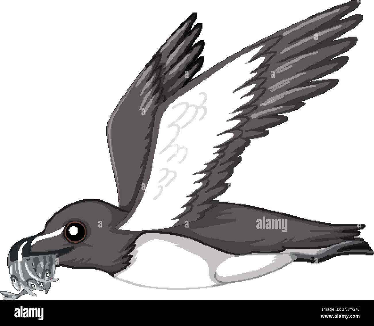 Flying fish in beak Stock Vector Images - Alamy