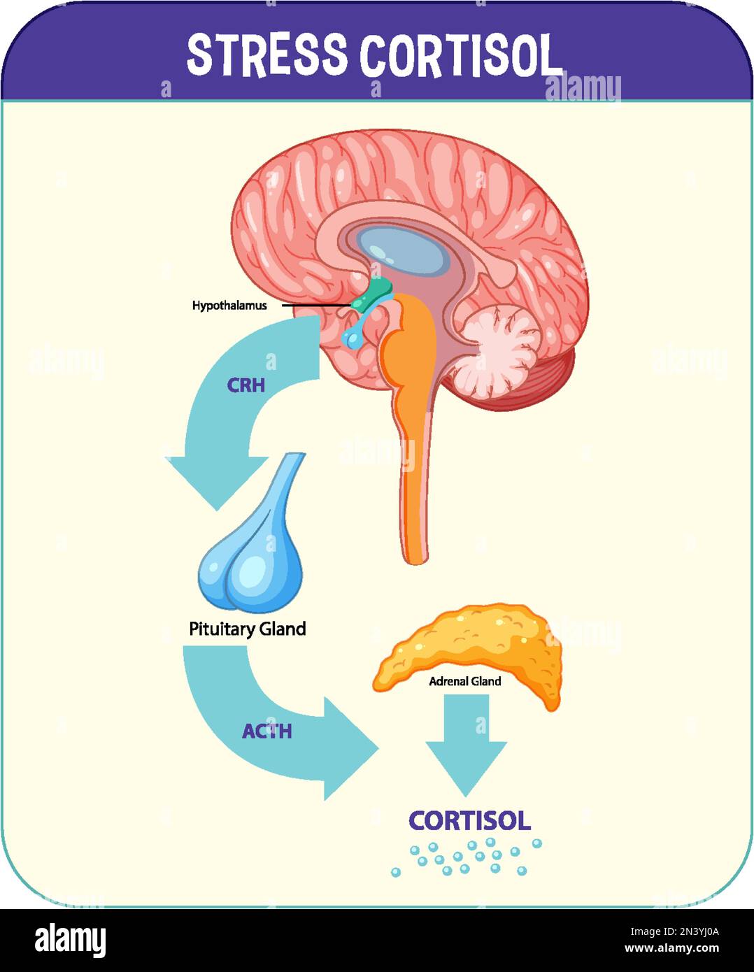 Response Science Diagram Pic