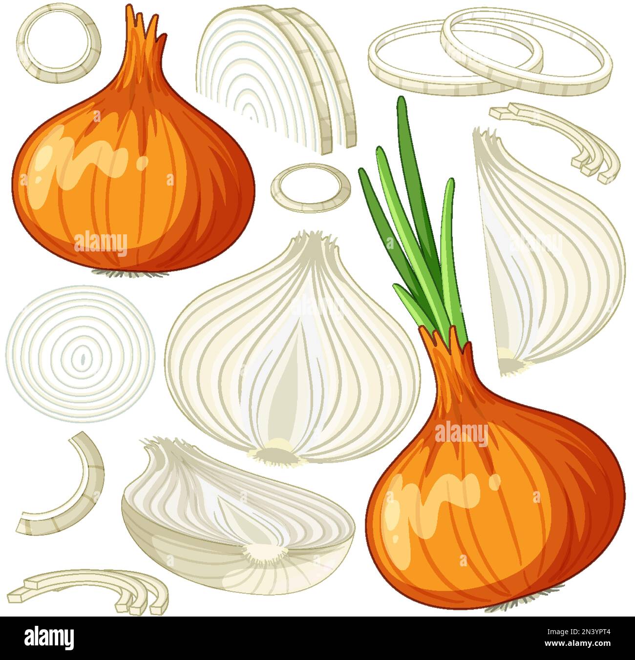 Set of onion cartoon isolated illustration Stock Vector Image & Art - Alamy