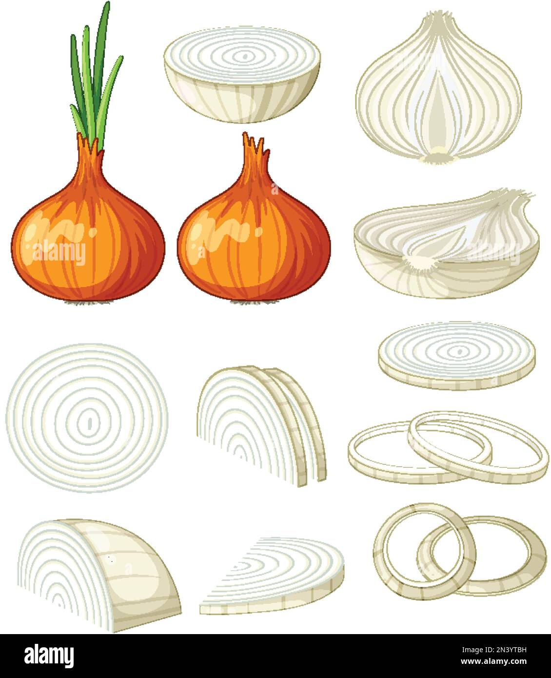 Set of onions in different forms illustration Stock Vector Image & Art ...