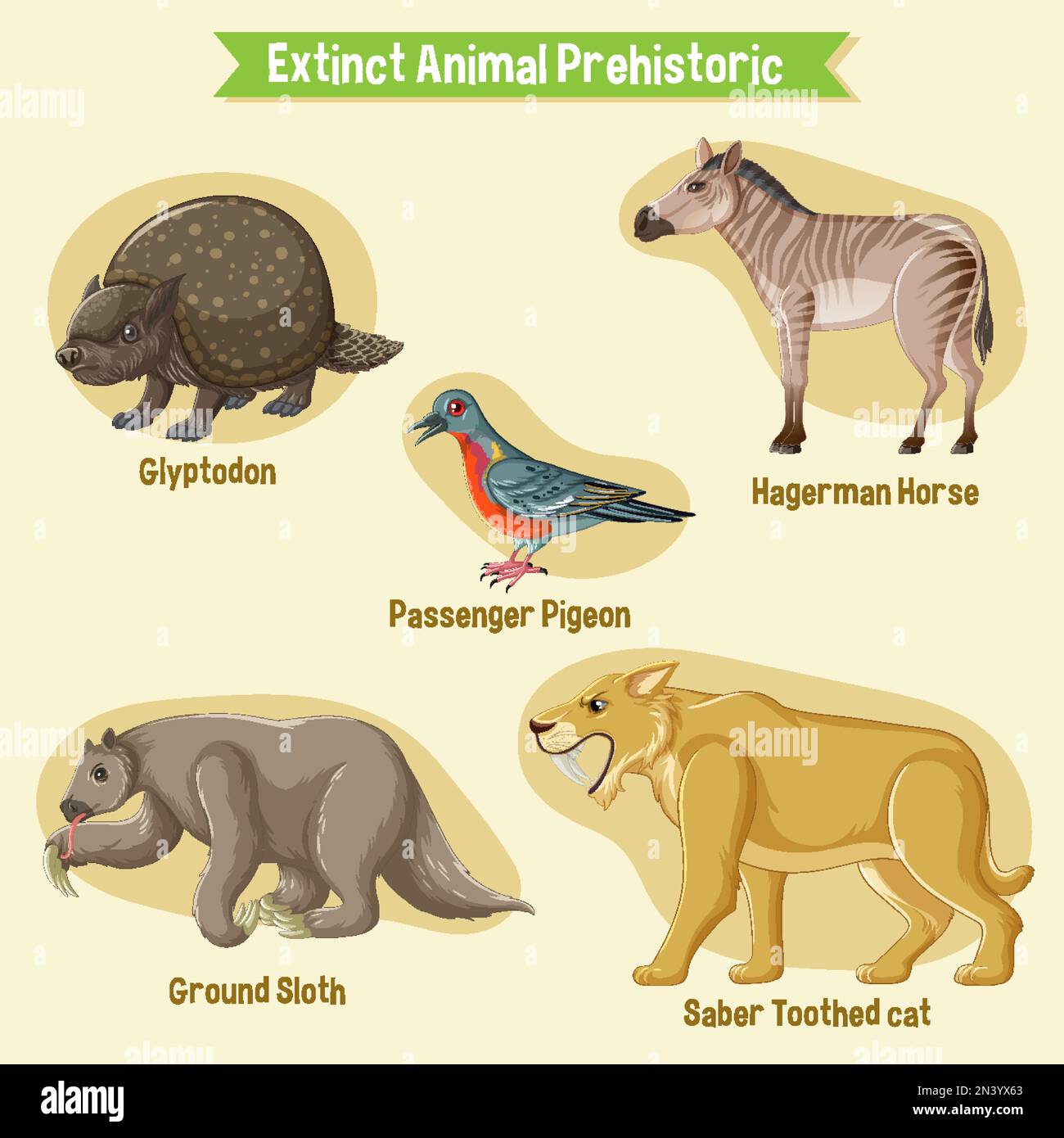 Extinct Animals With Names And Pictures