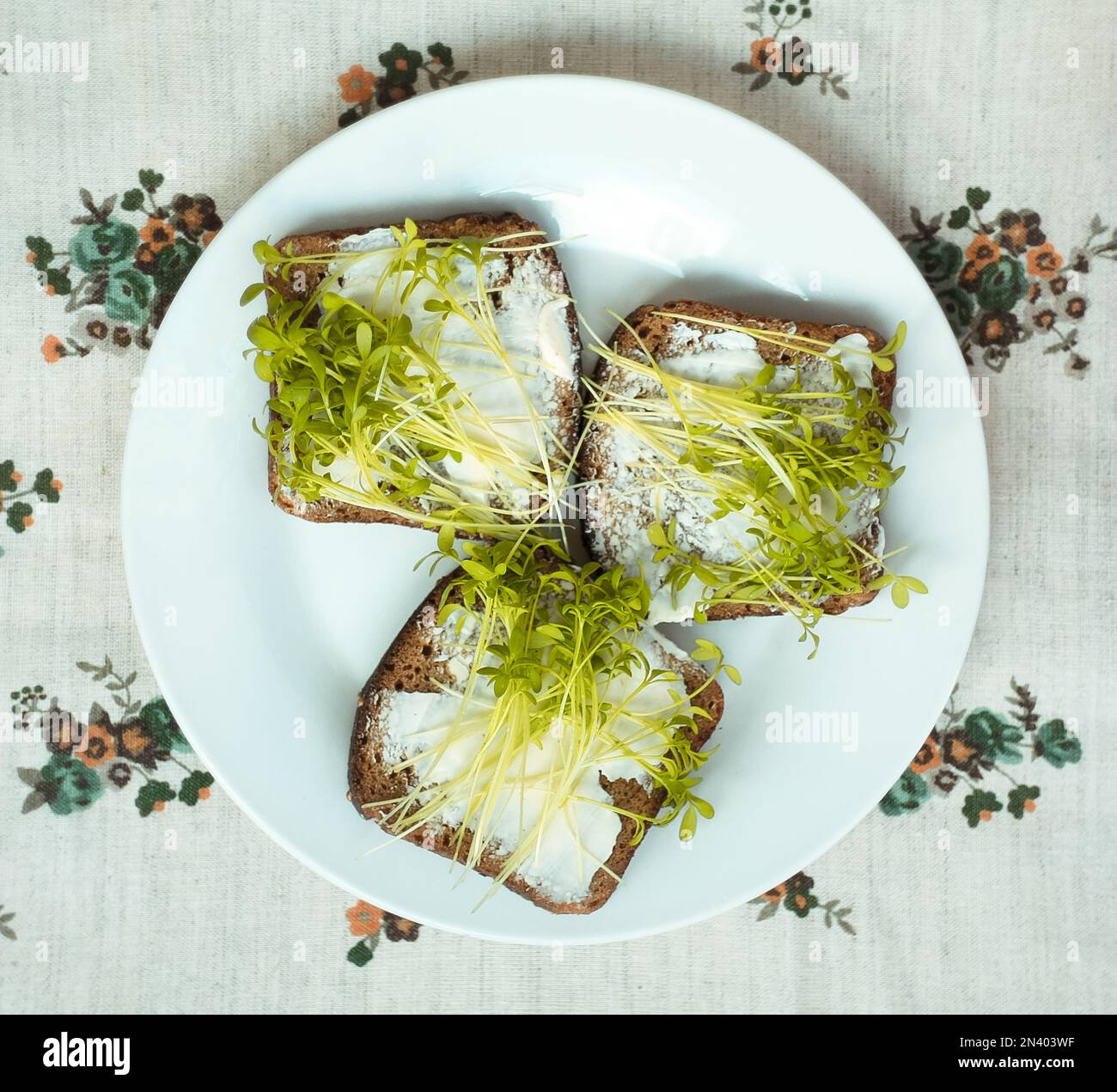 Close up buttered toast with sprouts concept photo Stock Photo - Alamy