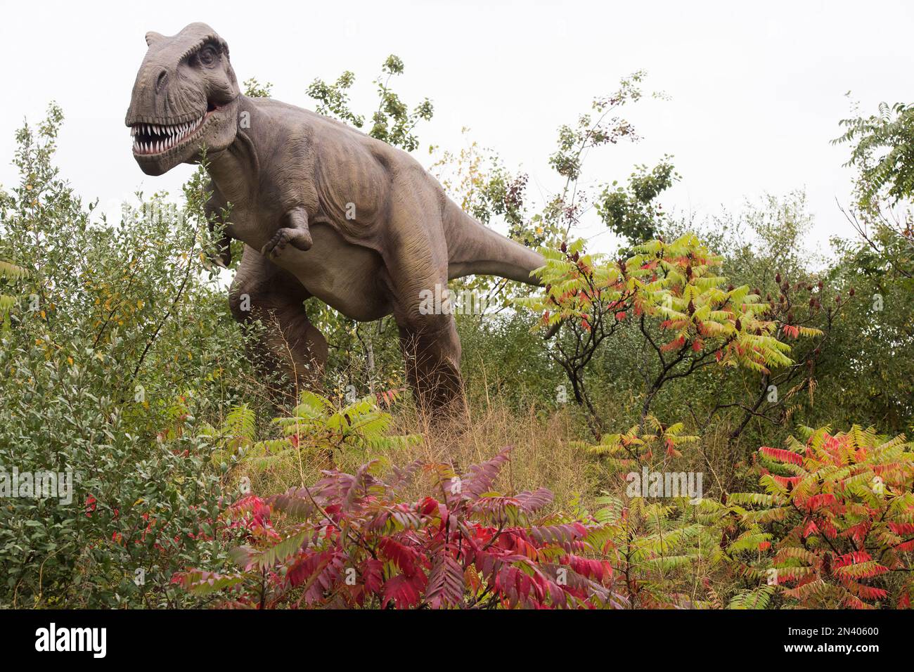 A life-sized animatronic dinosaur is seen at Field Station: Dinosaurs ...