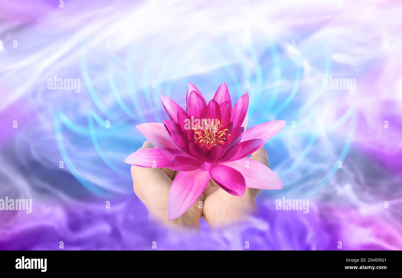 Hindu Lotus Flower Wallpaper