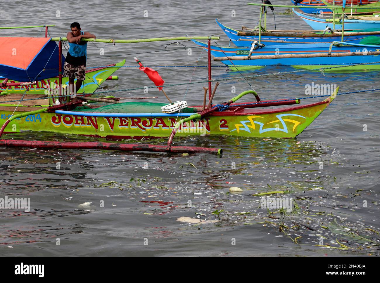 A fisherman looks at floating dead fish off Manila Bay that were washed ...