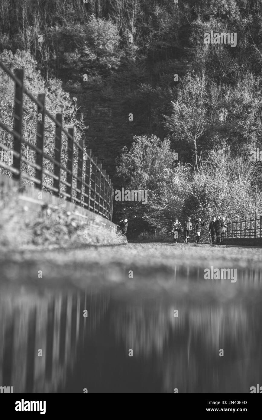 Animal crossing bridge building Black and White Stock Photos & Images ...