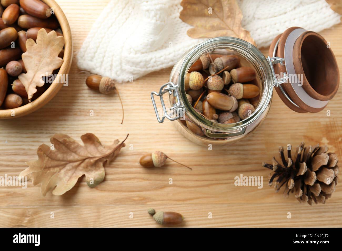 Top view acorns cone hi-res stock photography and images - Alamy