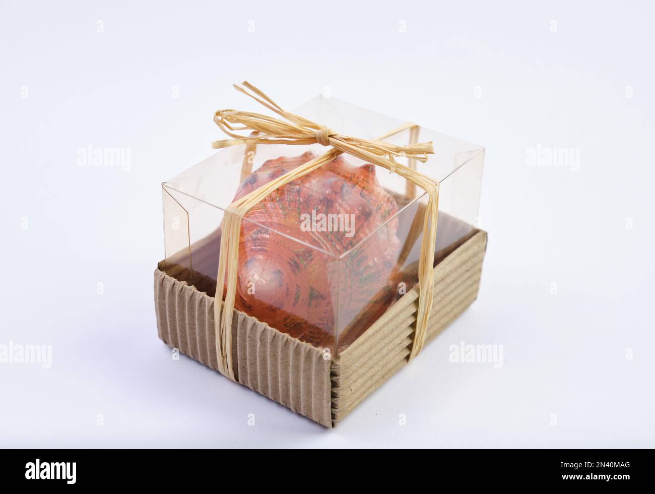 Present seashells and wrapped gift box transparent Stock Photo - Alamy
