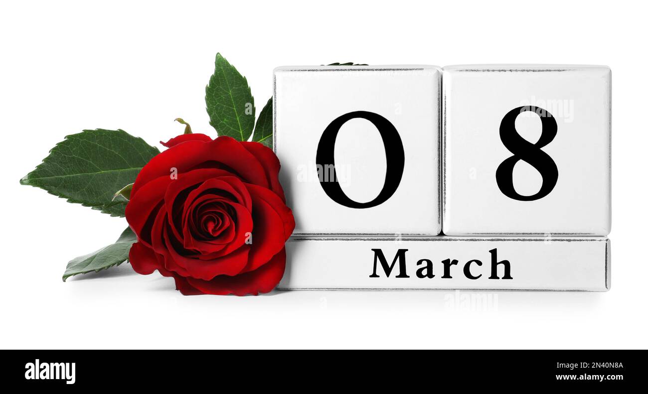 Wooden block calendar with date 8th of March and rose on white ...