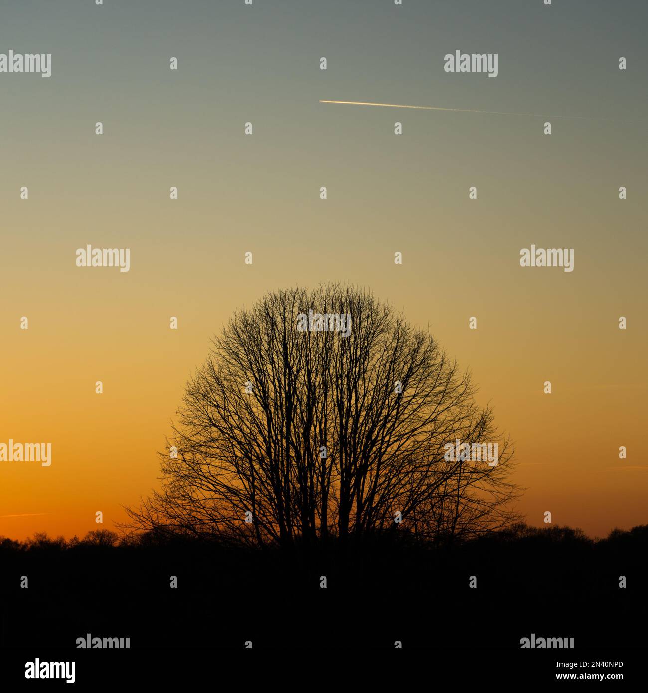 Banstead hi-res stock photography and images - Alamy