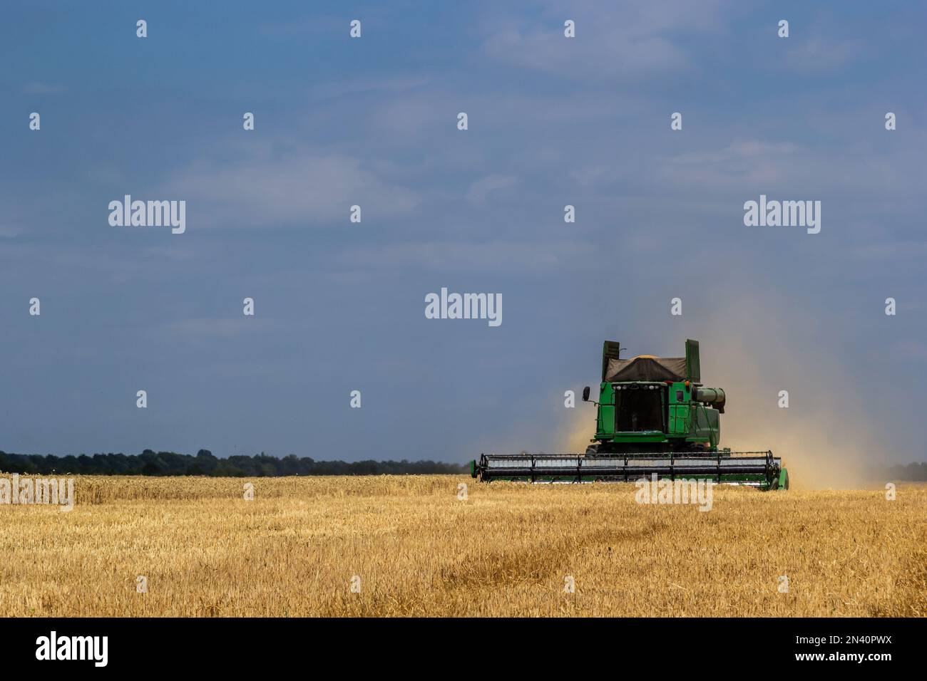 Photo of combine harvester that is harvesting wheat with dust straw in ...