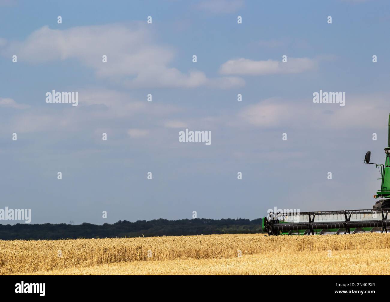 Photo of combine harvester that is harvesting wheat with dust straw in ...