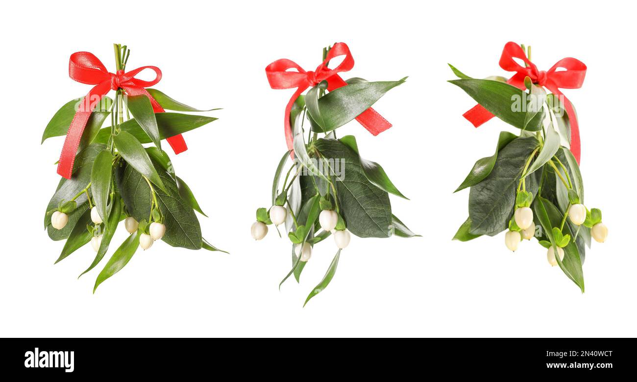 Bunch bunches mistletoe mistletoes hi-res stock photography and images ...