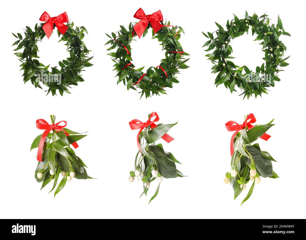 Bunch bunches mistletoe mistletoes hi-res stock photography and images ...