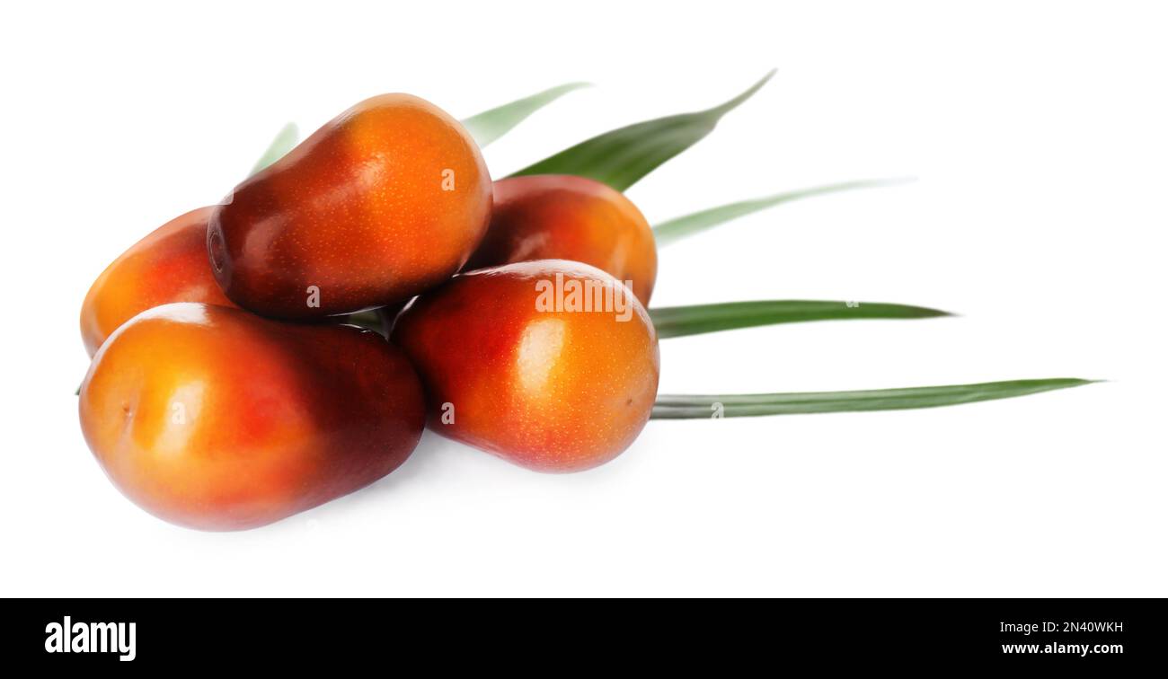 Fresh ripe palm oil fruits on white background. Banner design Stock ...