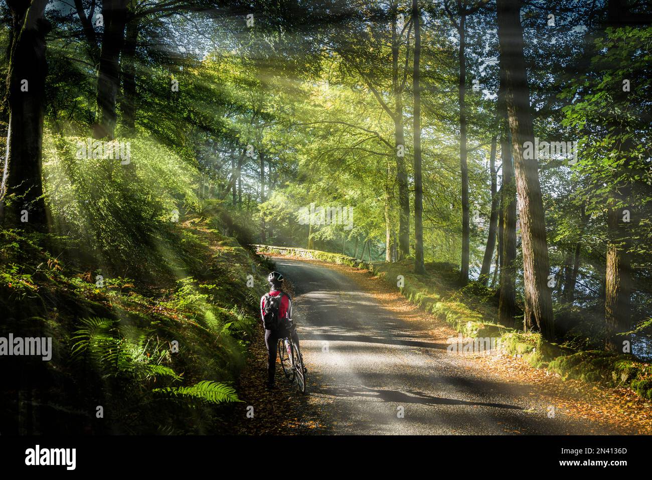 Female cyclist takes a break hi-res stock photography and images - Alamy