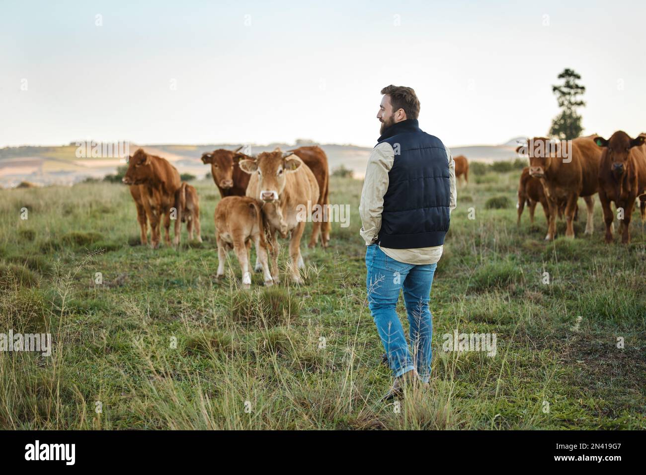 Man, farm and animals in the countryside for agriculture, travel or ...