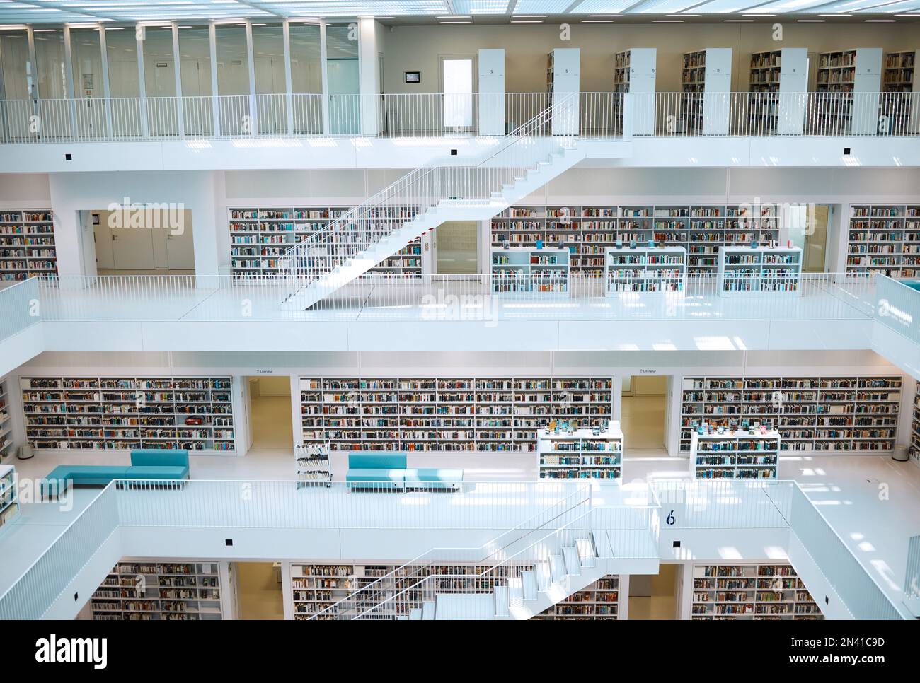 Library, interior design and university for education, learning and ...