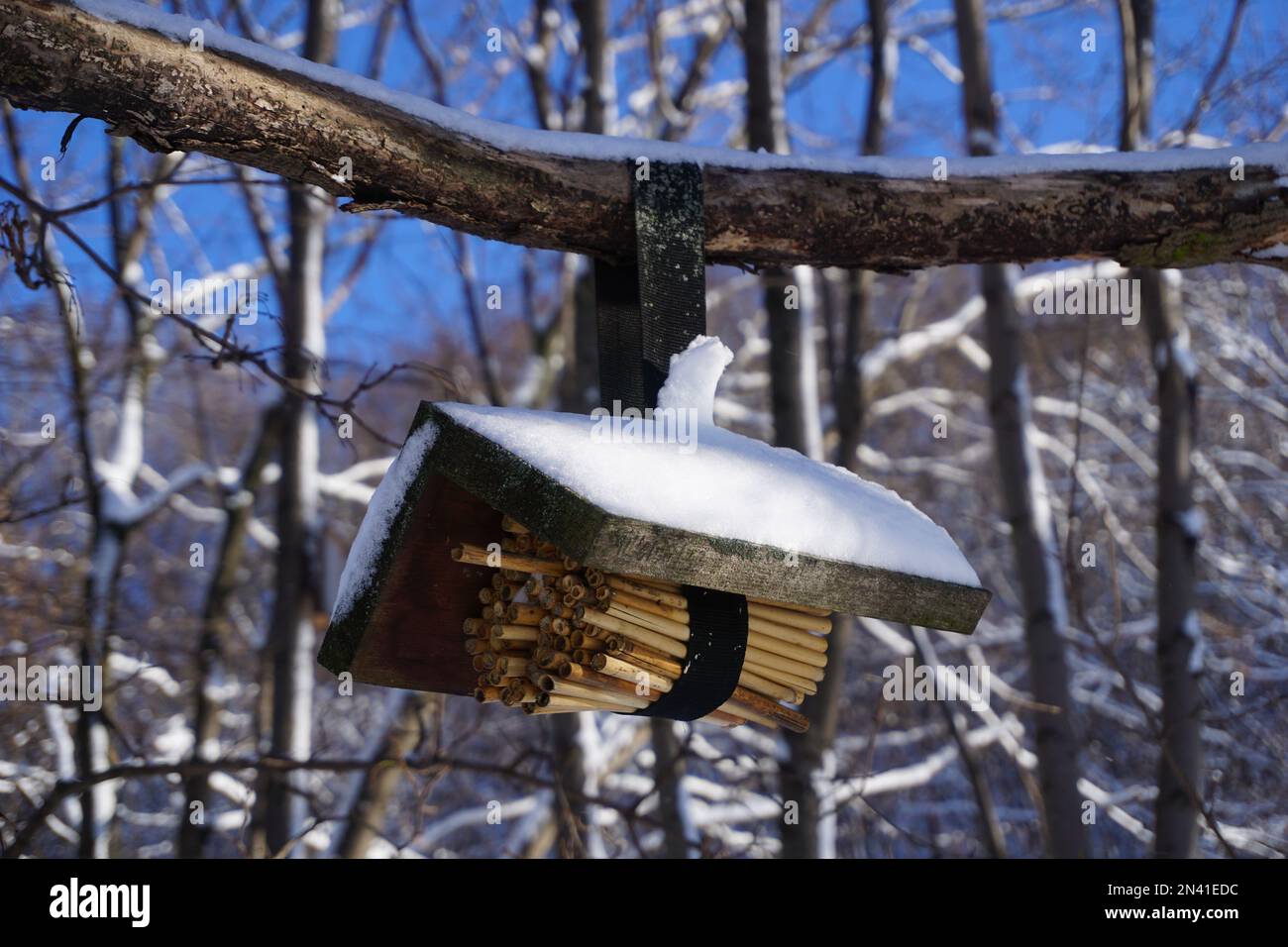 Bird table covered with snow hanging on a tree Stock Photo - Alamy