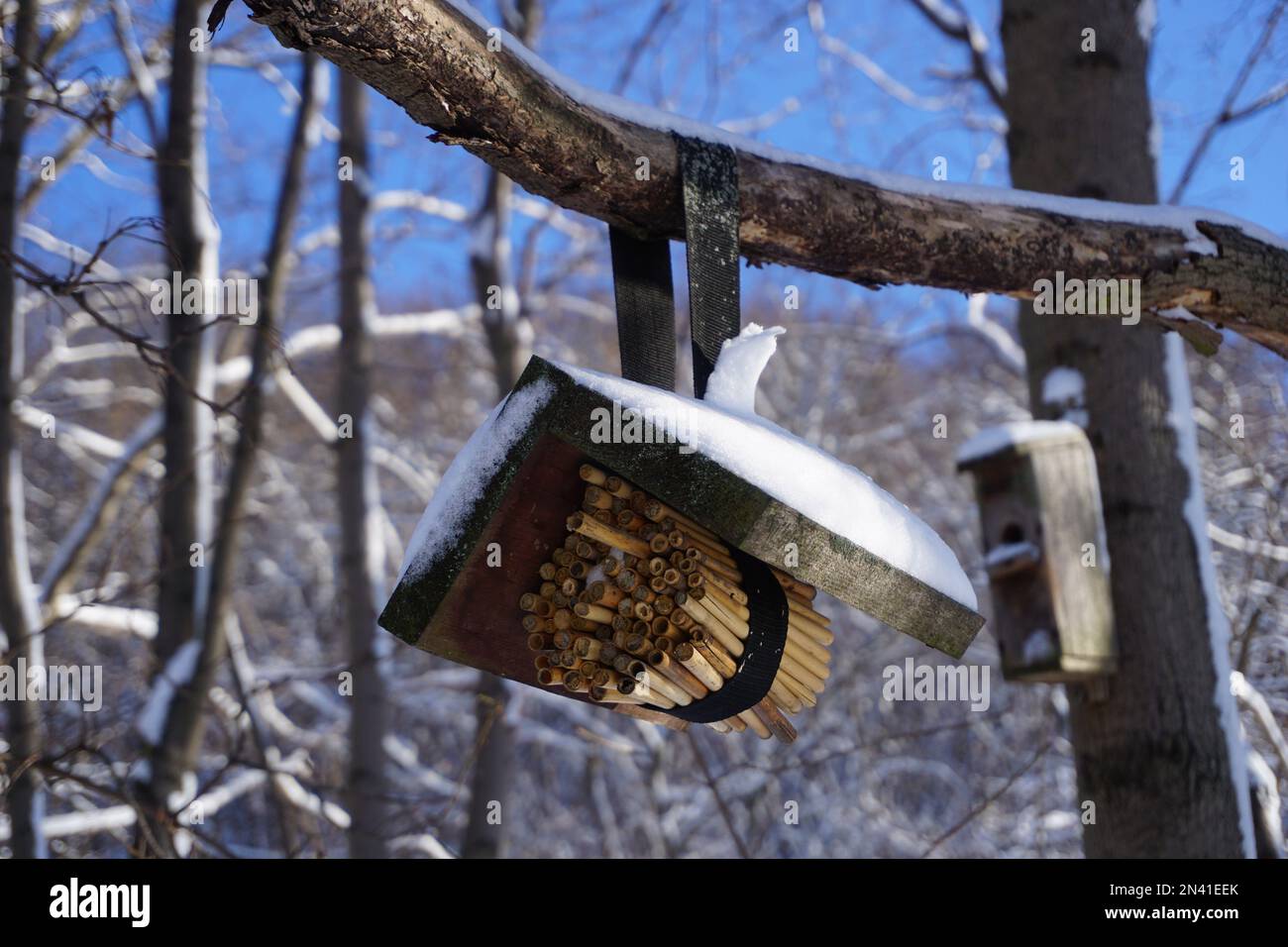 Bird table covered with snow hanging on a tree Stock Photo - Alamy