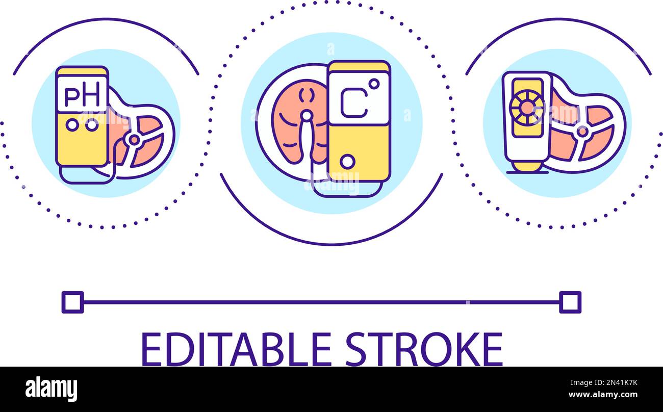 Technology of food inspection loop concept icon Stock Vector Image ...