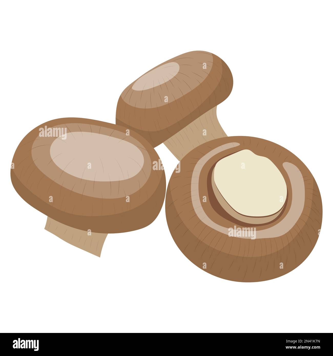 champignons vector illustration on a white background Stock Vector ...