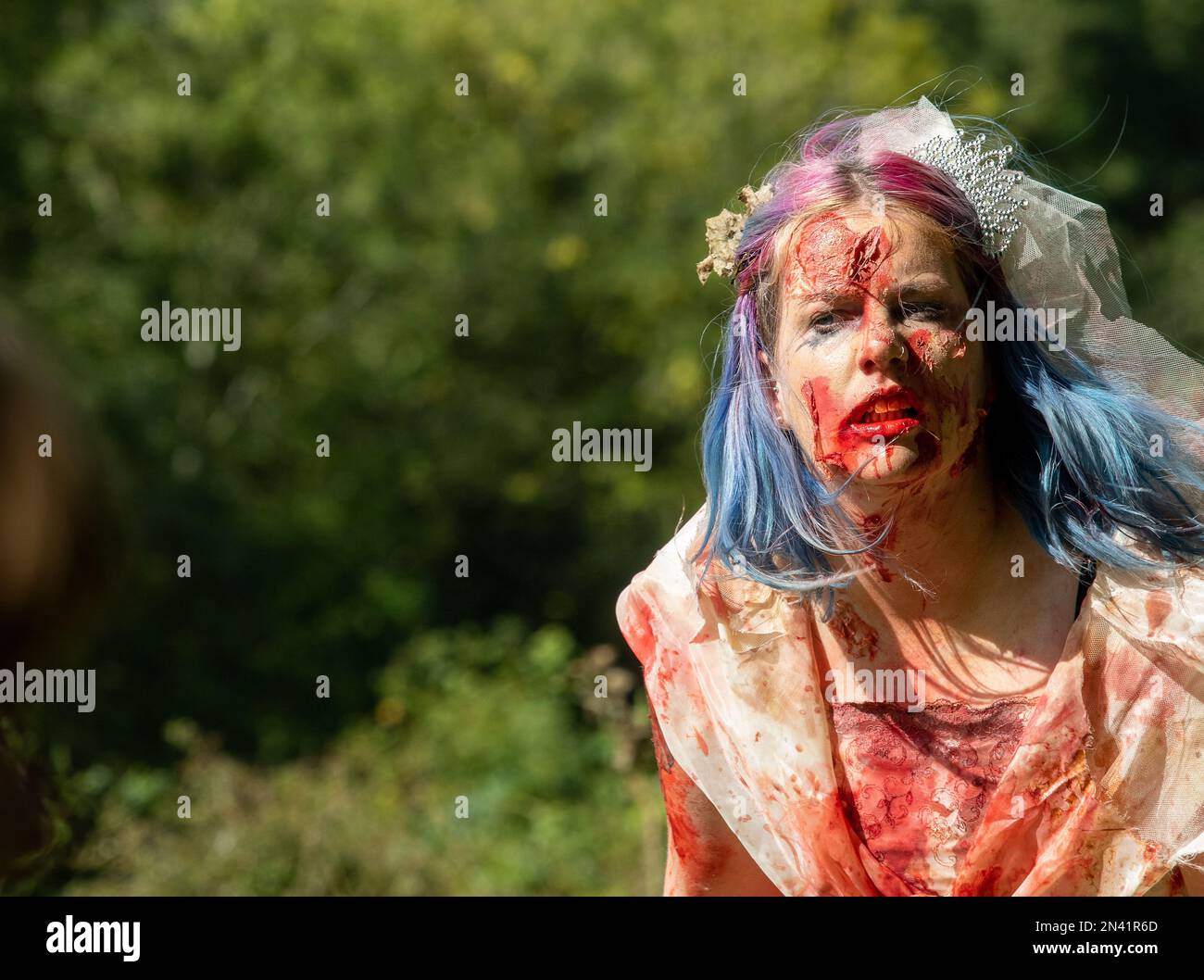 Zombie bride at a Zombie Evacuation event where runners on an assault ...
