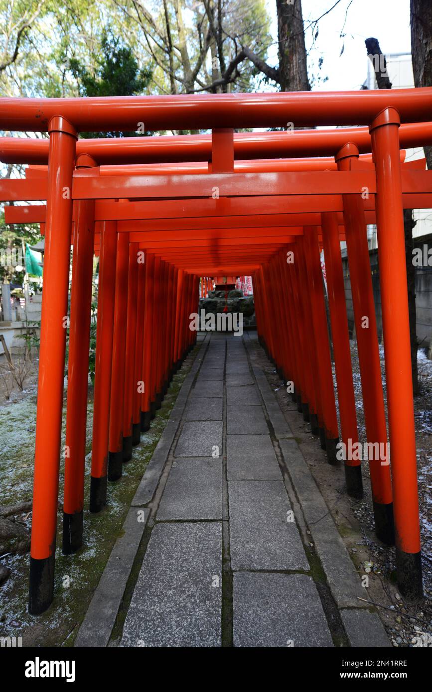 Red Tori Gate at the Wakamiya Hachiman Shrine in Nagoya, Japan Stock ...
