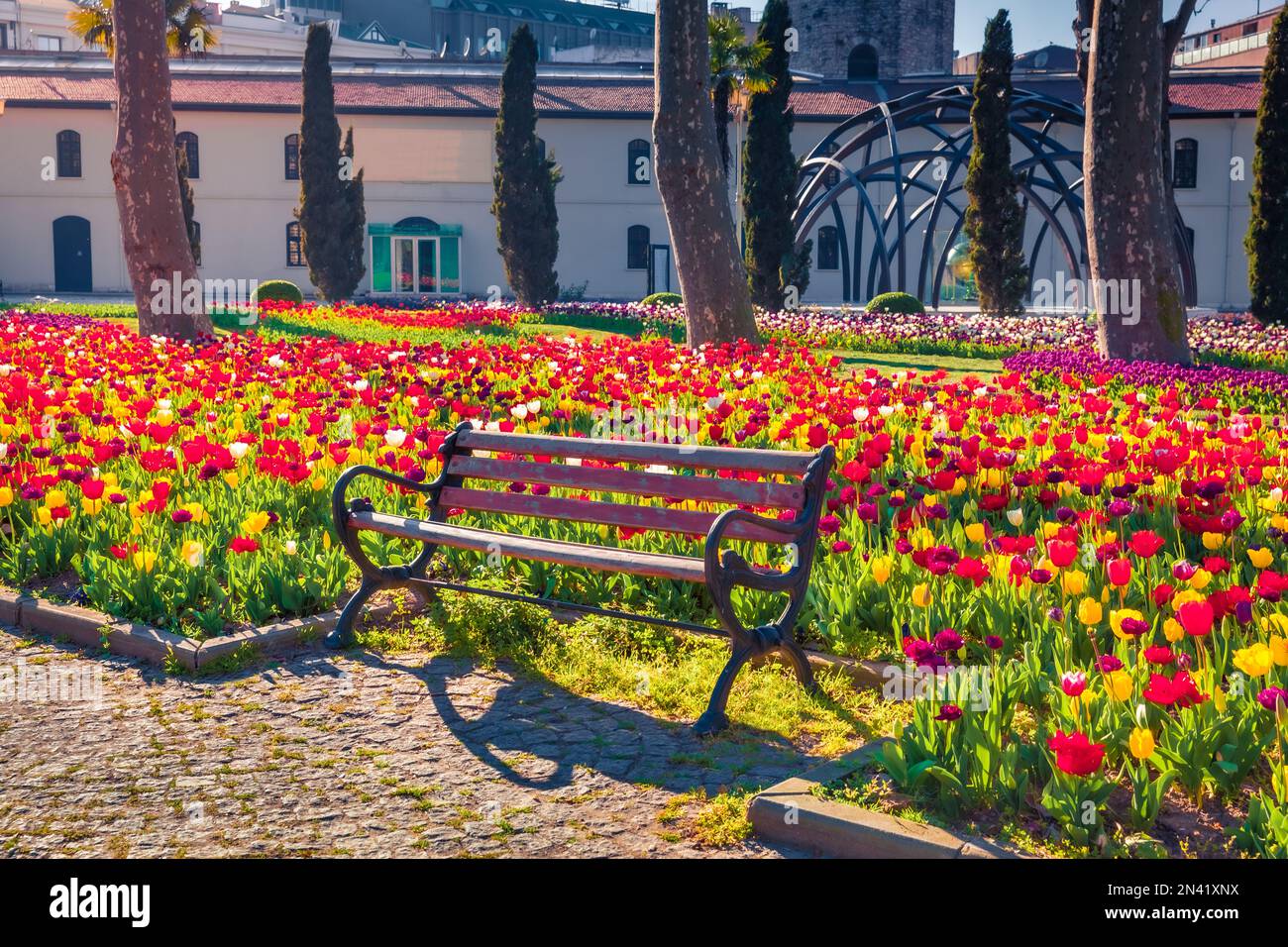 Marvellous red tulip flowers in Gulhane (Rosehouse) park, Istanbul ...