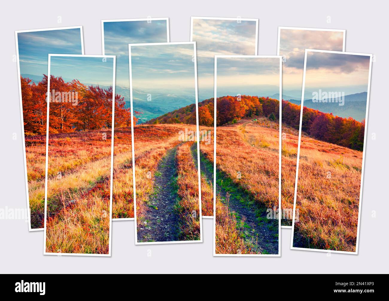 Isolated eight frames collage of picture of autumn morning scene of ...