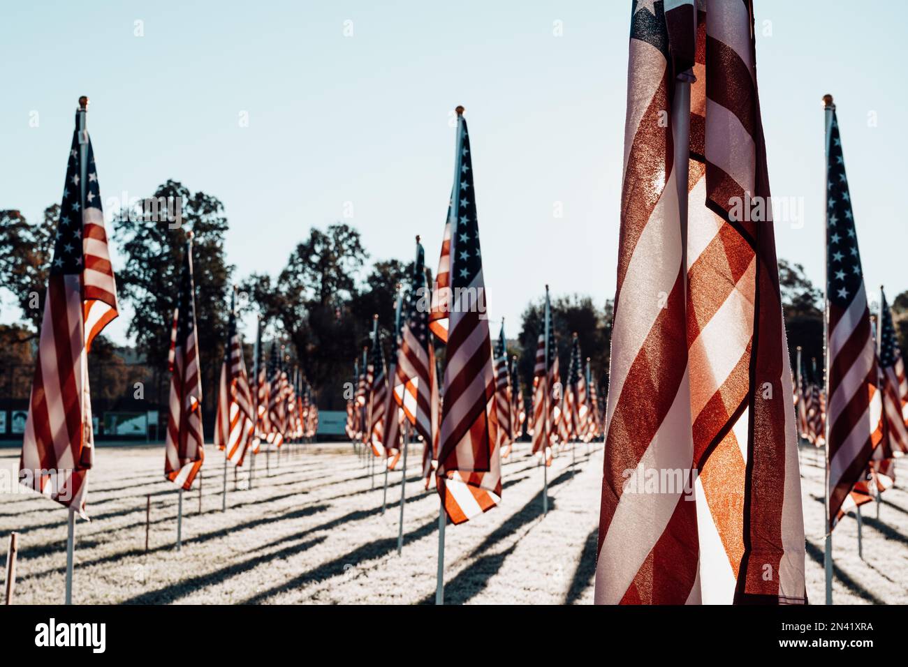 An aerial view of American flags Stock Photo - Alamy