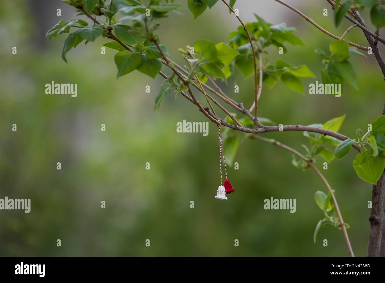 Symbol of the first day of spring Martisor. Tradition of giving red and ...
