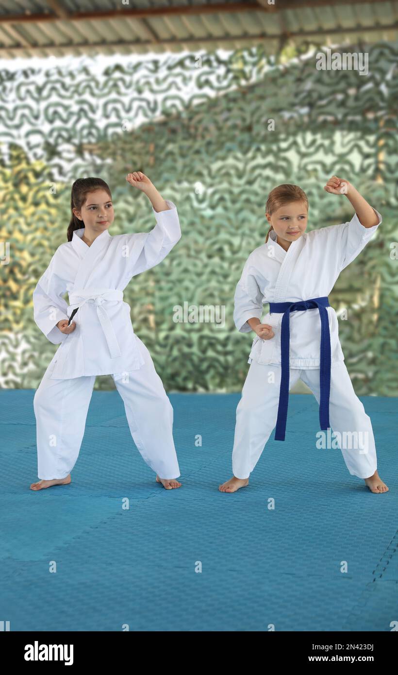 Children in kimono practicing karate on tatami outdoors Stock Photo - Alamy